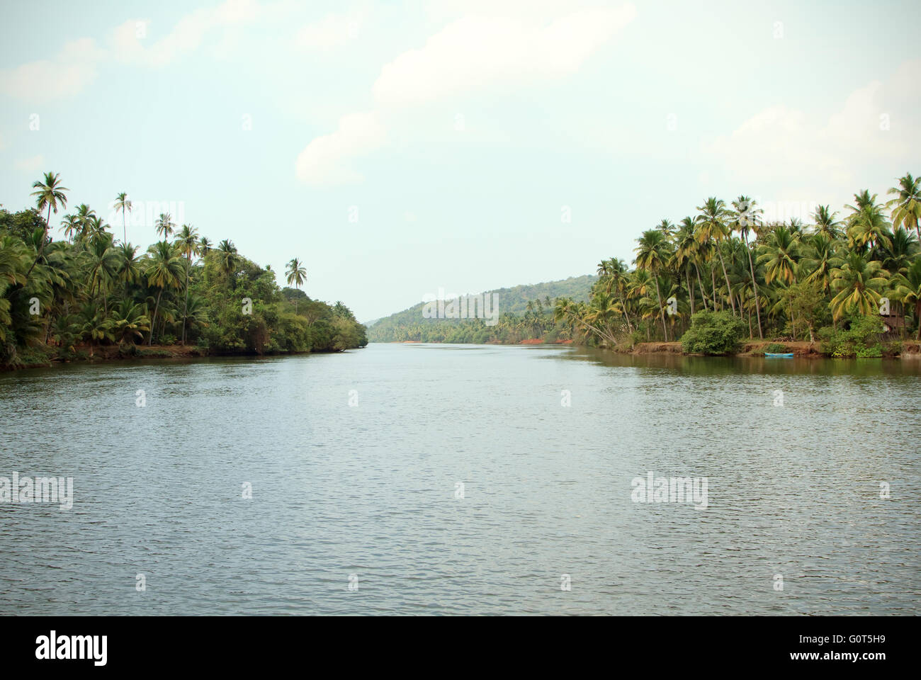 Goa india tropical rainforest hi-res stock photography and images - Alamy