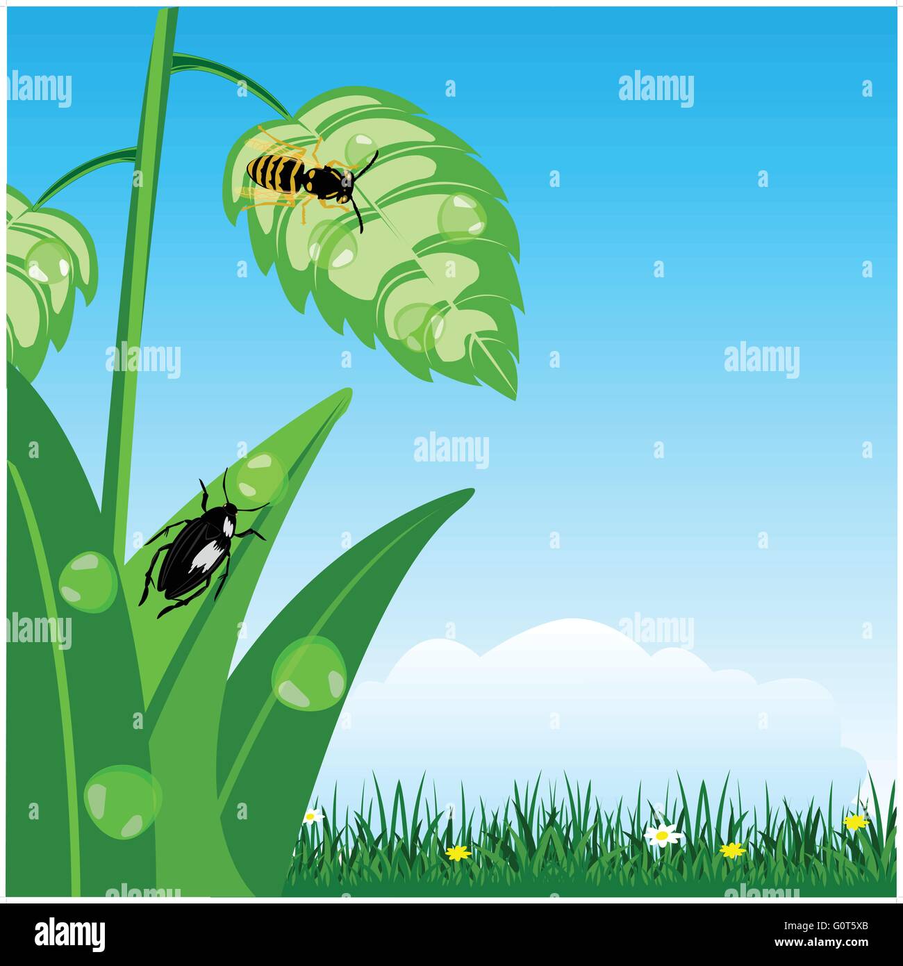 Herb with dew Stock Vector Image & Art - Alamy