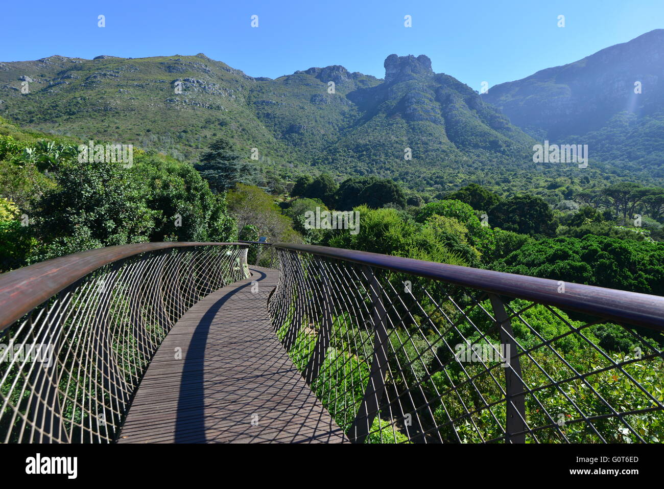 A tree top bridge going over the tree canopy at a botanical gardens in ...