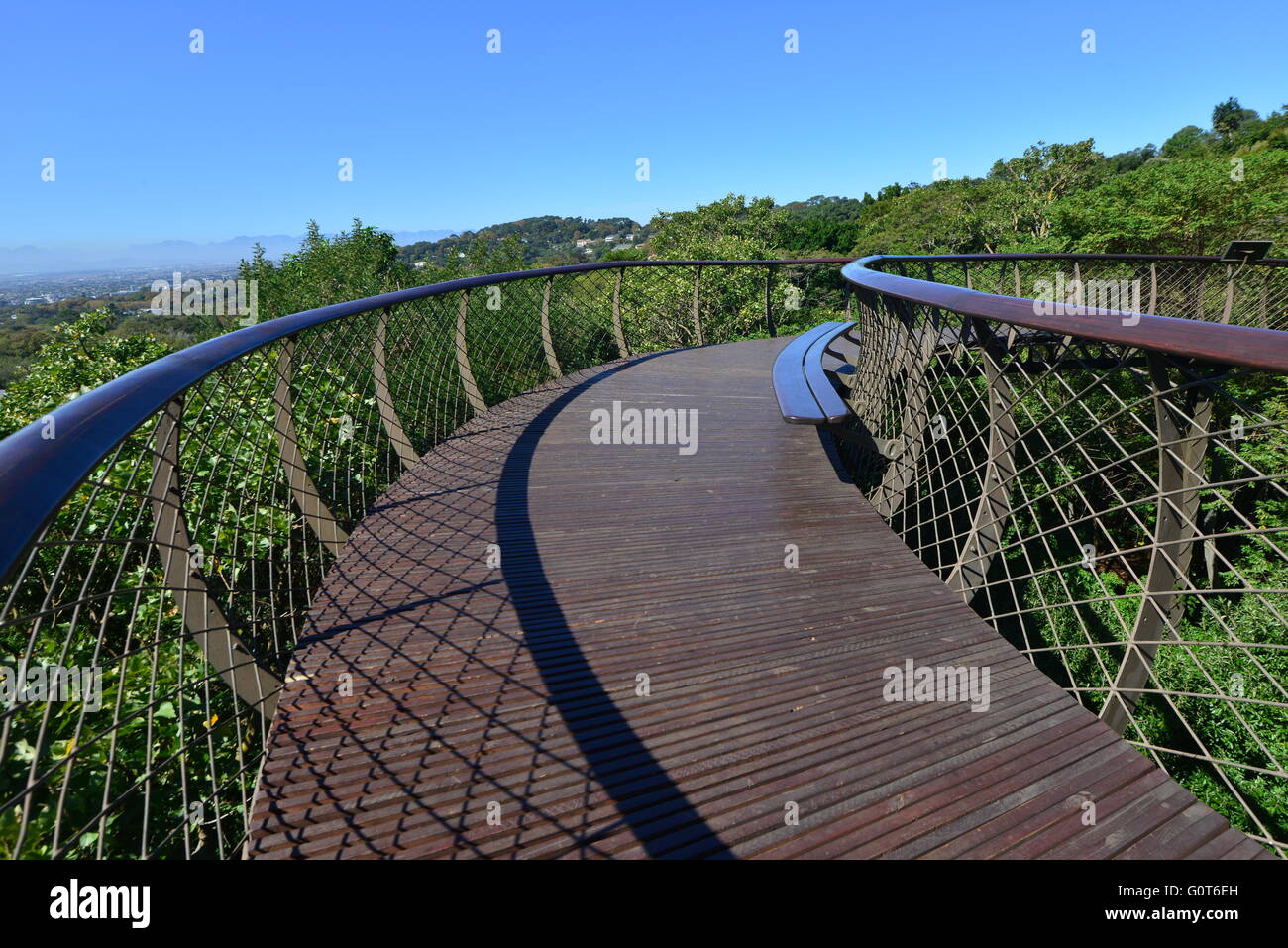 A tree top bridge going over the tree canopy at a botanical gardens in ...