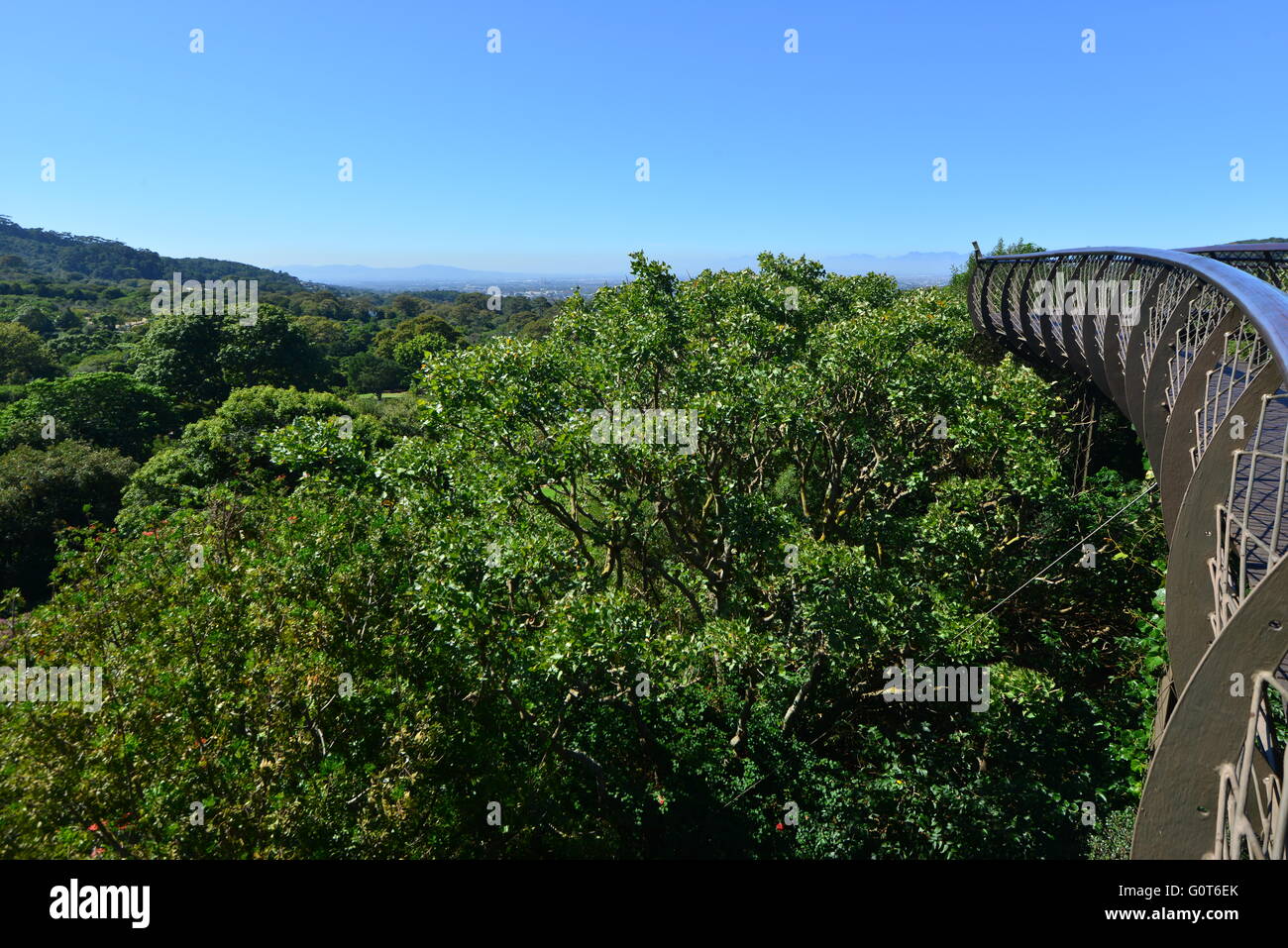 A tree top bridge going over the tree canopy at a botanical gardens in ...