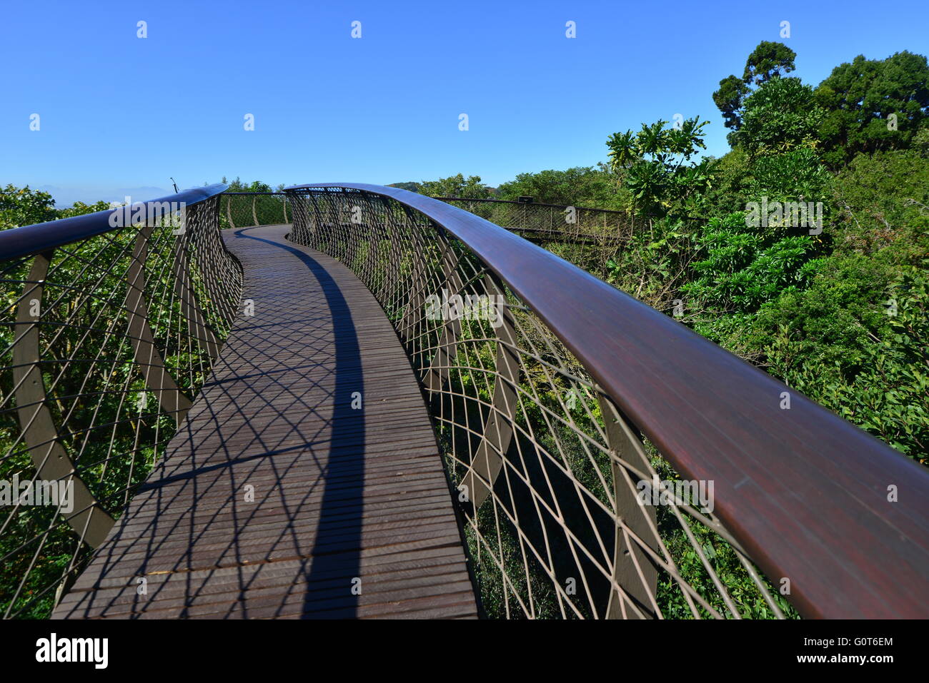 A tree top bridge going over the tree canopy at a botanical gardens in ...