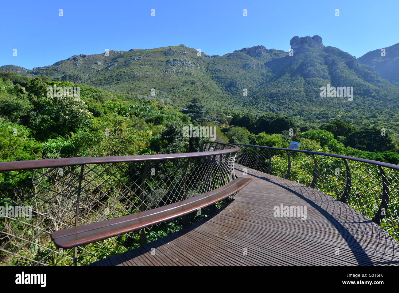 A tree top bridge going over the tree canopy at a botanical gardens in ...