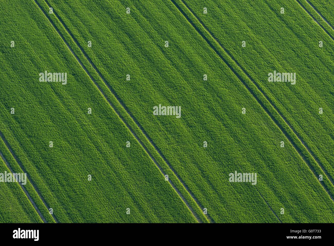 An aerial photo shows green landscape (field), Czech Republic, near ...