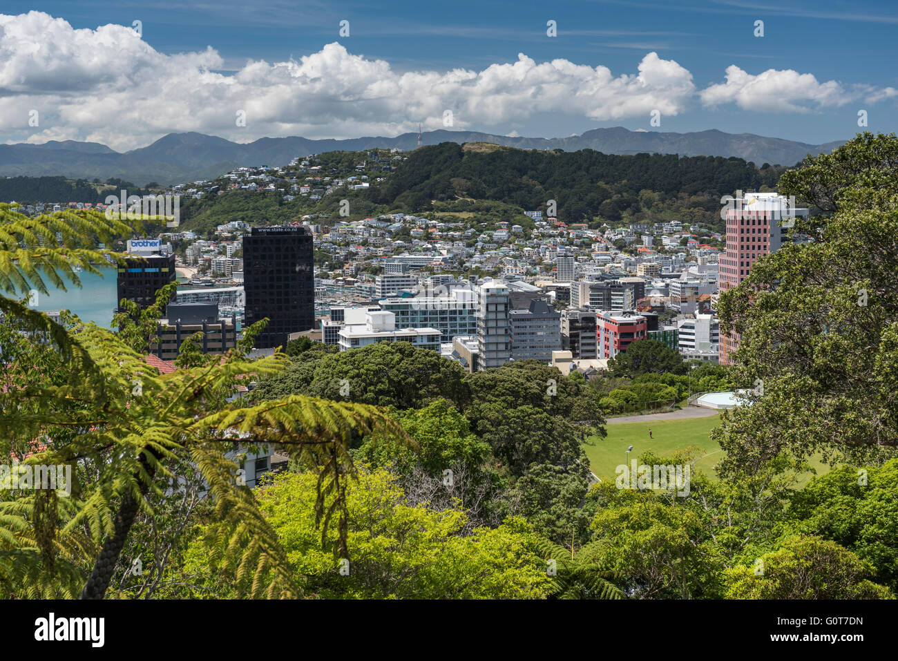 Wellington Skyline from the Botanical Gardens, New Zealand Stock Photo ...