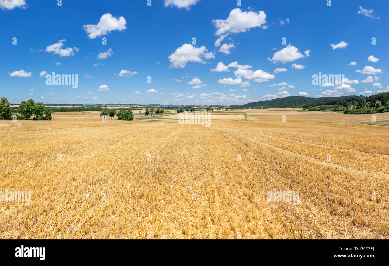 Stubble field in rural landscape Stock Photo - Alamy