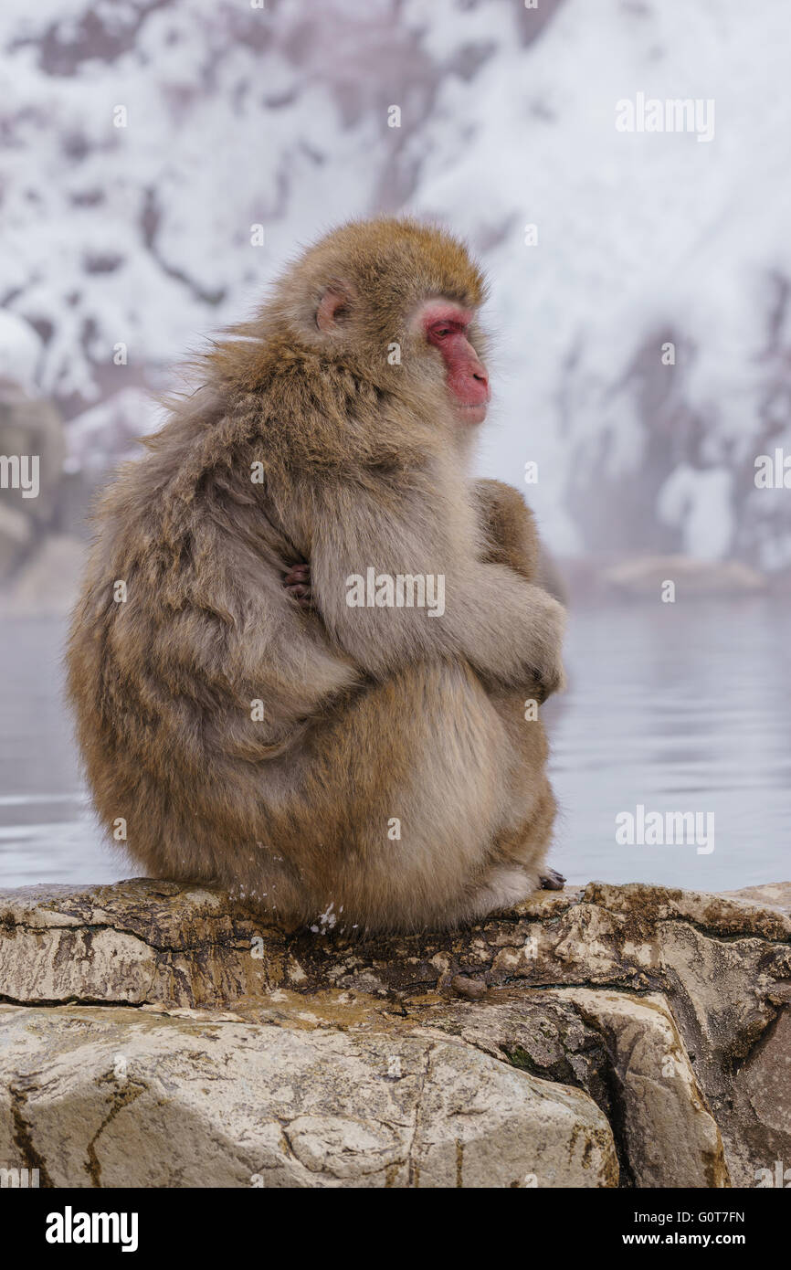Onsen bathing hi-res stock photography and images - Alamy