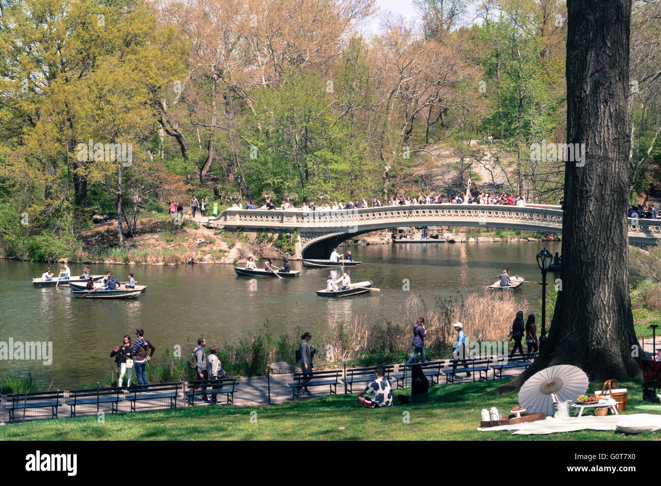 Bow Bridge, Central Park in the Springtime, NYC Stock Photo - Alamy