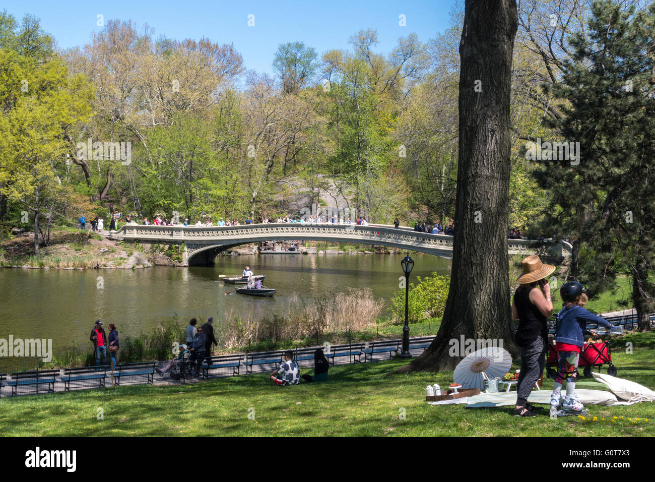 Bow Bridge, Central Park in the Springtime, NYC Stock Photo - Alamy