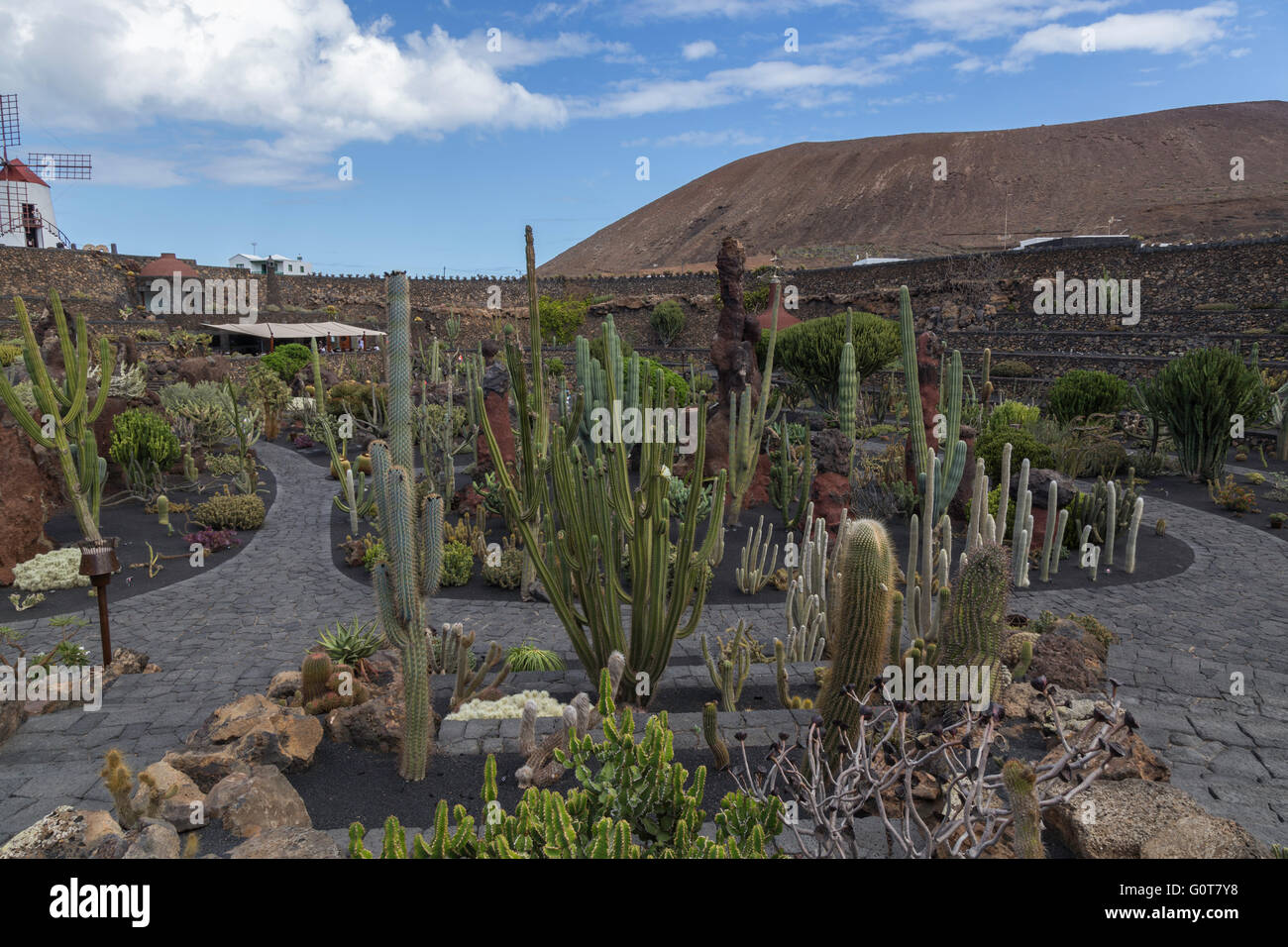 Lanzarote Cactus Garden. Designed by César Manrique Stock Photo - Alamy