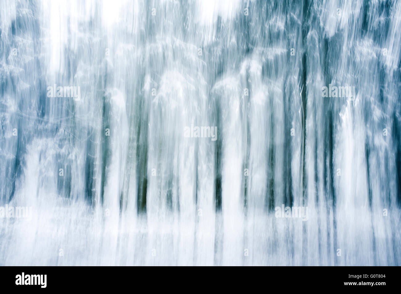 Trees snow abstract hi-res stock photography and images - Alamy
