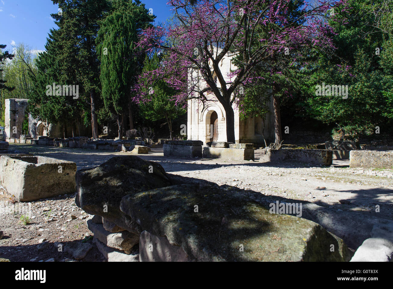 The Alyscamps, a large Roman necropolis in Arles, France Stock Photo ...