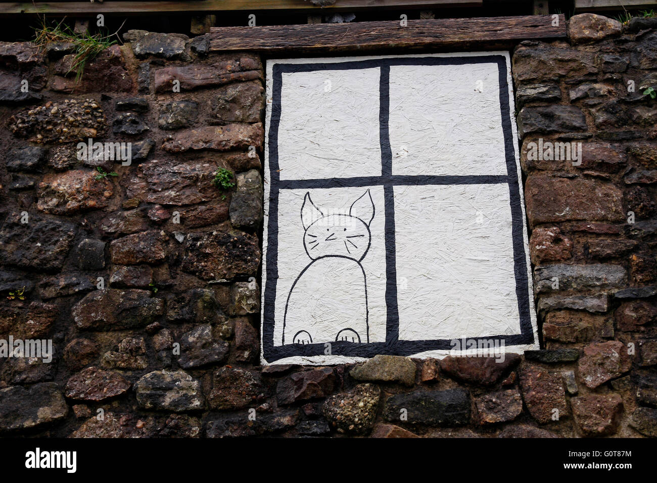 Drawing of a cat on a boarded up window Stock Photo - Alamy