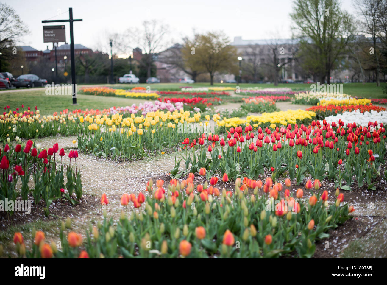 Washington d c spring hi-res stock photography and images - Alamy
