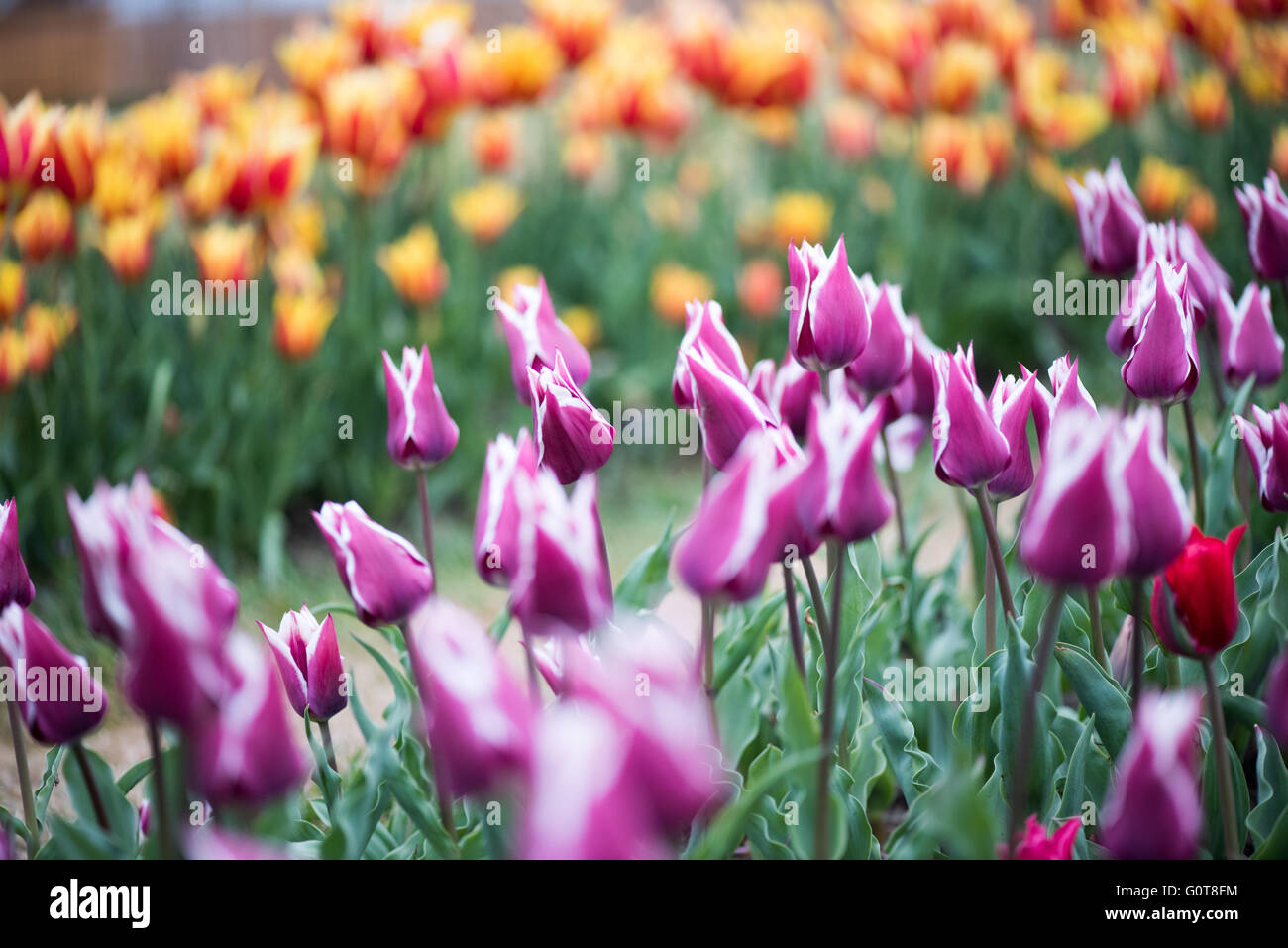 Top washington dc attractions hi-res stock photography and images - Alamy