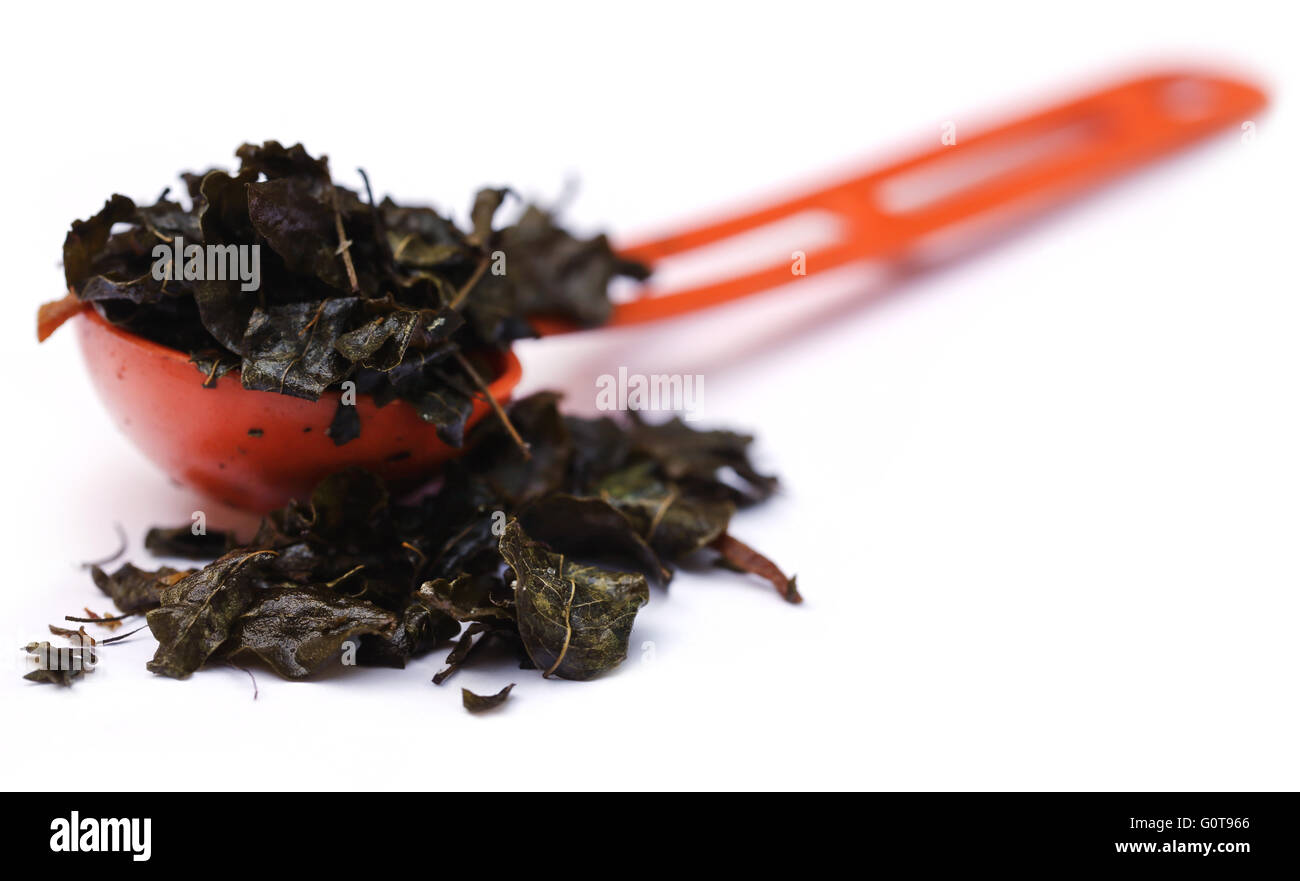 Fried moringa leaves in a spoon over white background Stock Photo - Alamy