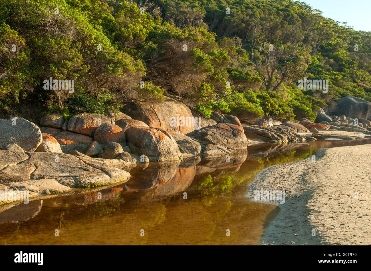 Reflections at Tidal River, Wilsons Promontory NP, Victoria, Australia ...