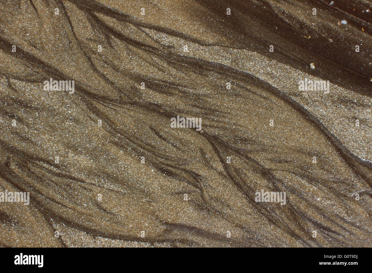 Elaborate and beautiful natural sand art design formed on the seabed ...