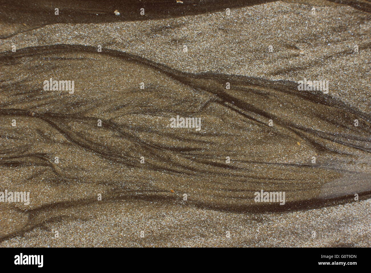 Seabed texture hi-res stock photography and images - Alamy
