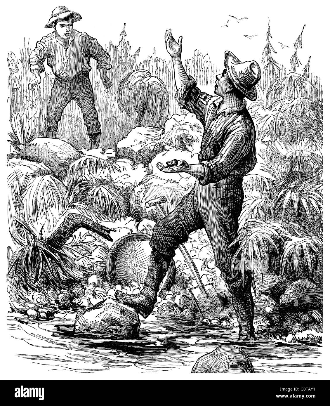 Gold prospectors 19th Cut Out Stock Images & Pictures - Alamy