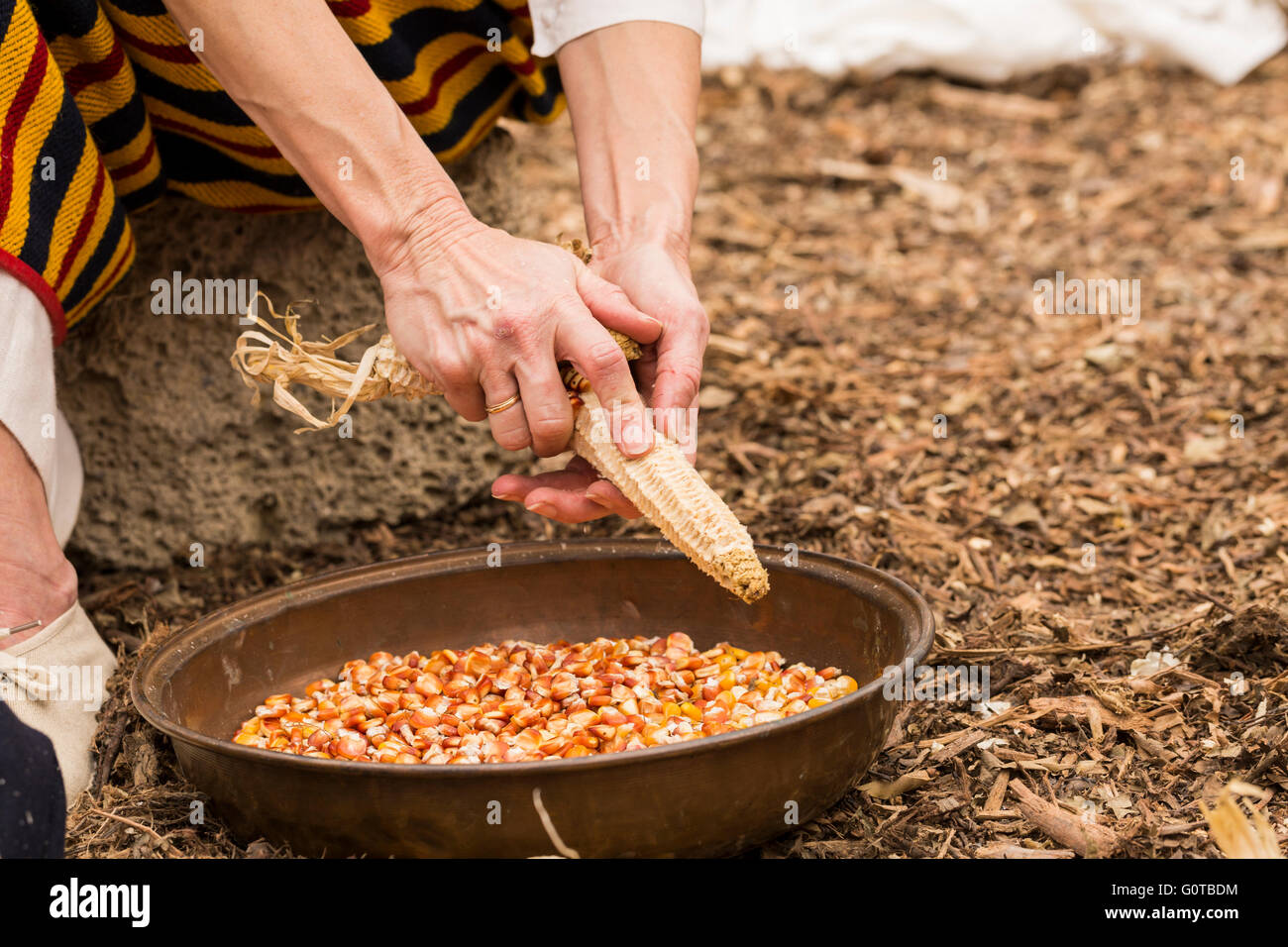 Woman schucking corn cob in a scene as part of a guided theatrical ...