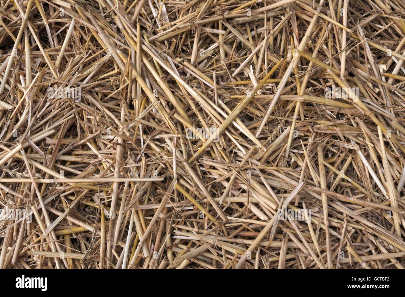 Rural texture hi-res stock photography and images - Alamy