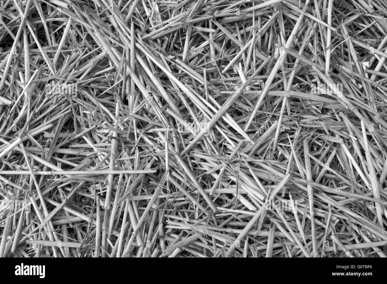 Ground straw texture hi-res stock photography and images - Alamy