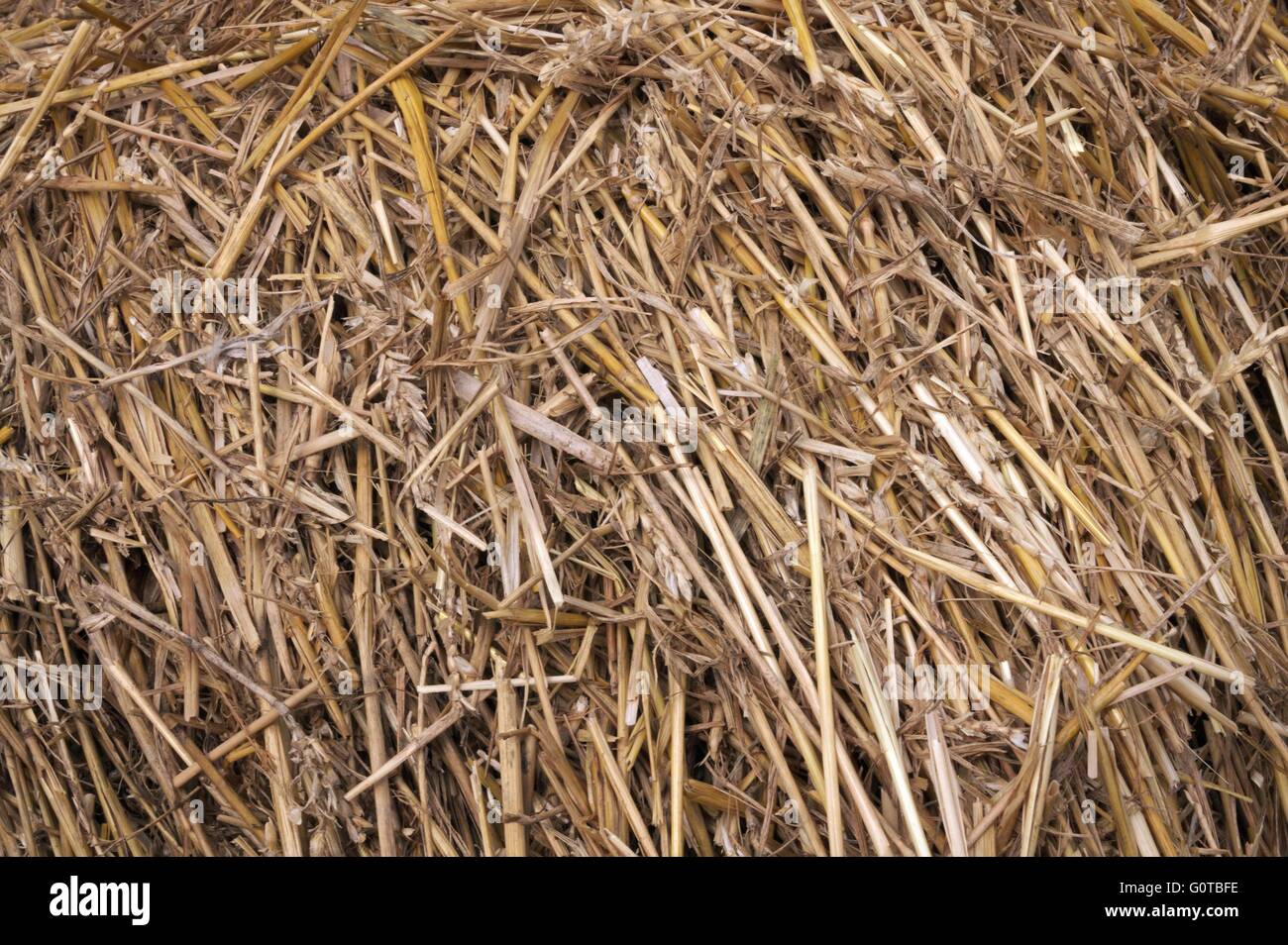 Rural texture hi-res stock photography and images - Alamy