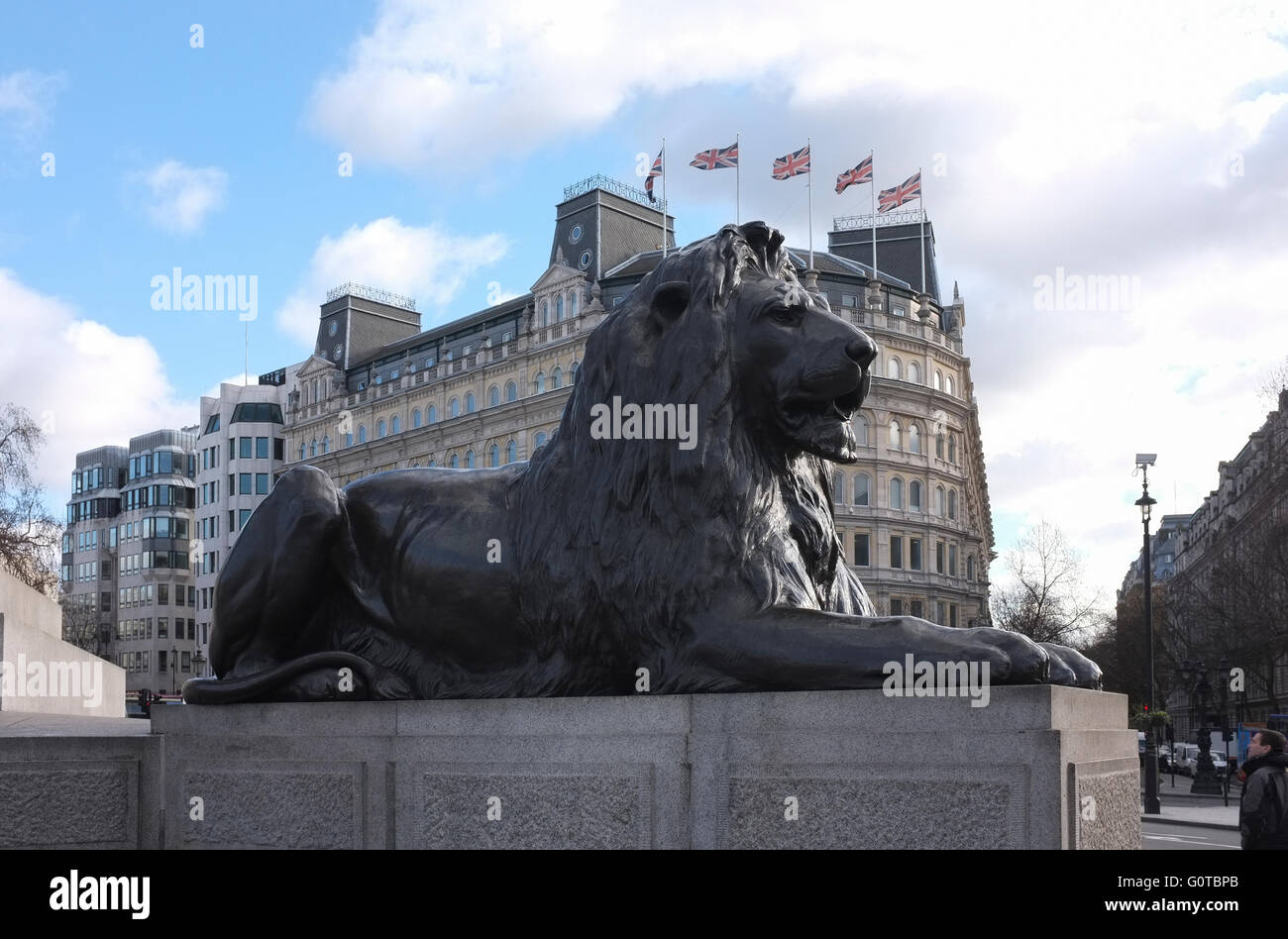 London Trafalgar Square Lion -1 Stock Photo - Alamy