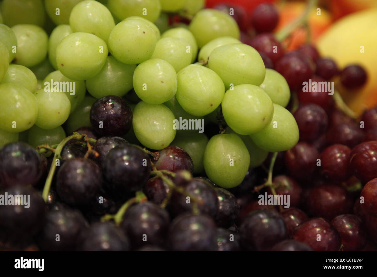 Different grapes hi-res stock photography and images - Alamy