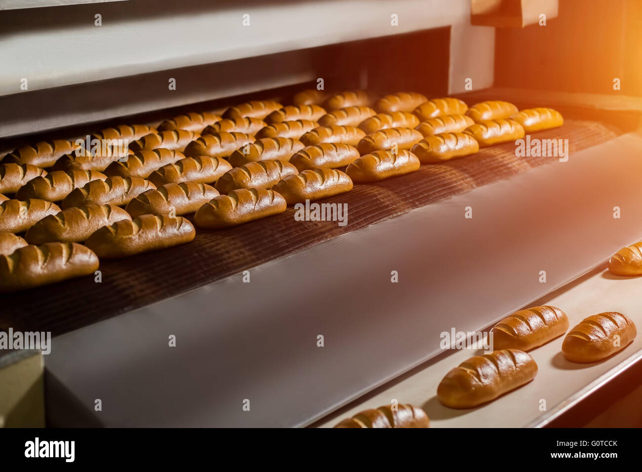 Fresh buns from the oven Stock Photo - Alamy