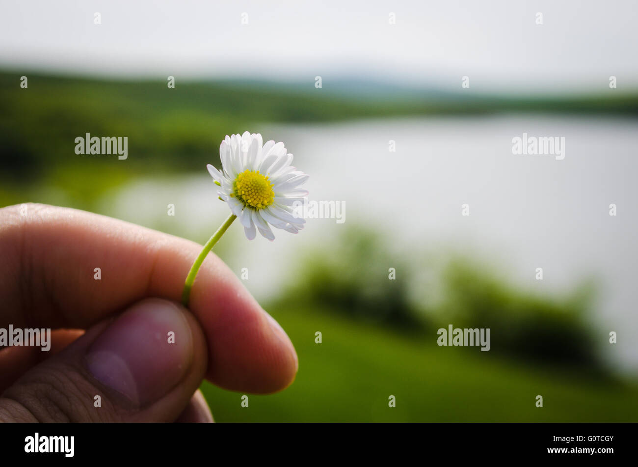 Finger flower hi-res stock photography and images - Alamy