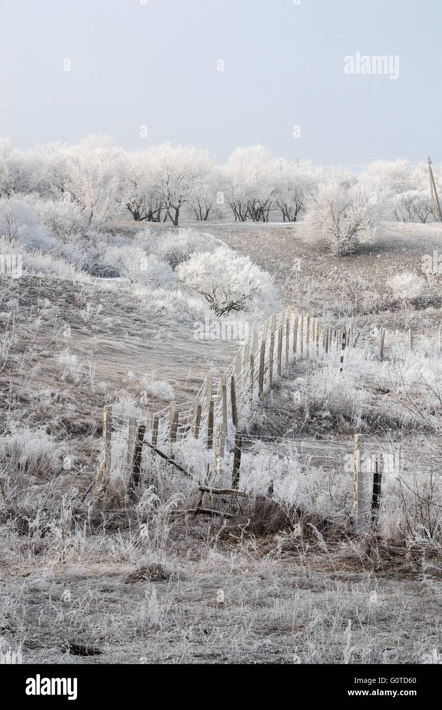 Frozen grass field winter cold temperature hi-res stock photography and ...
