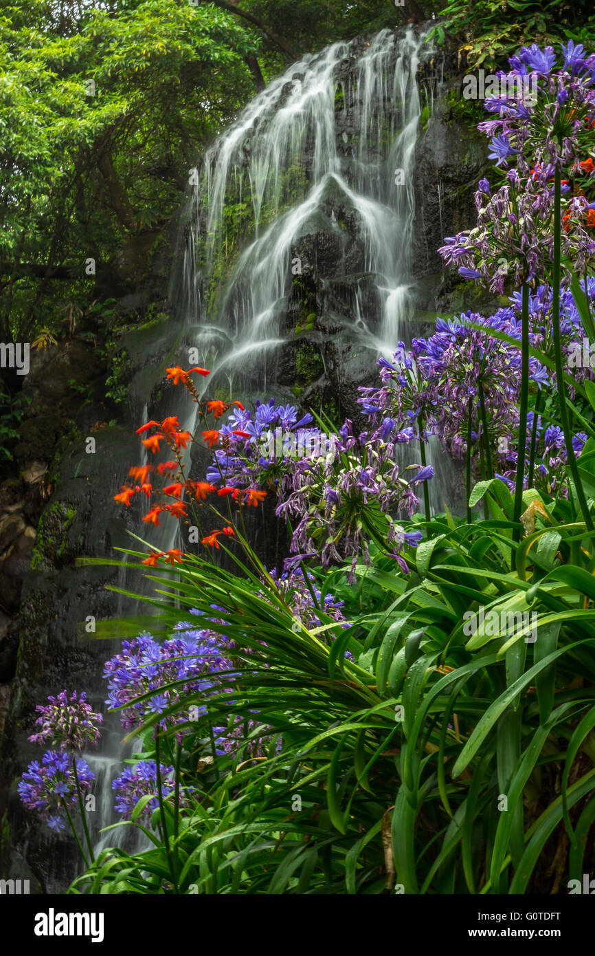 Waterfall island hi-res stock photography and images - Alamy
