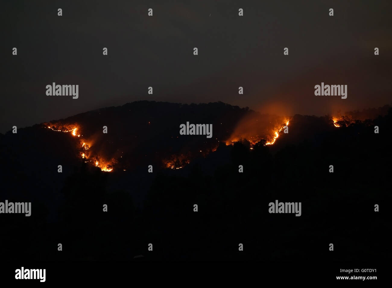 Forest clearing fire hi-res stock photography and images - Alamy