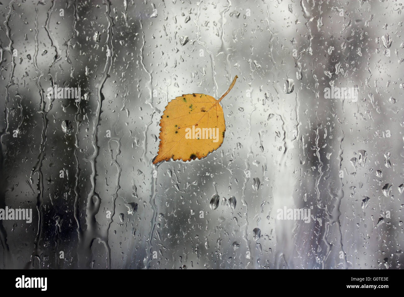 Rain on window with leaf Stock Photo - Alamy