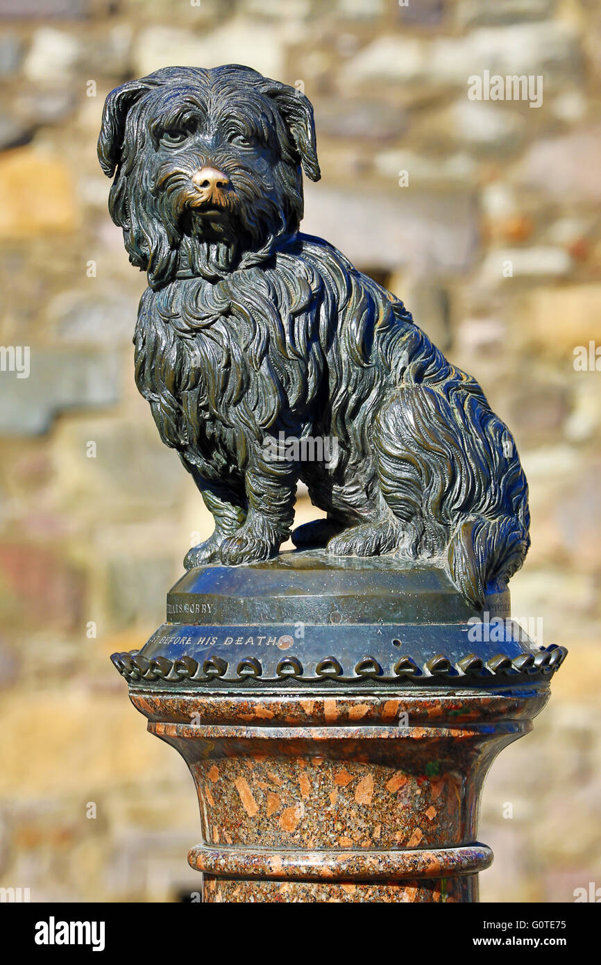 Statue of the loyal Skye Terrier dog Greyfriars Bobby in Edinburgh ...