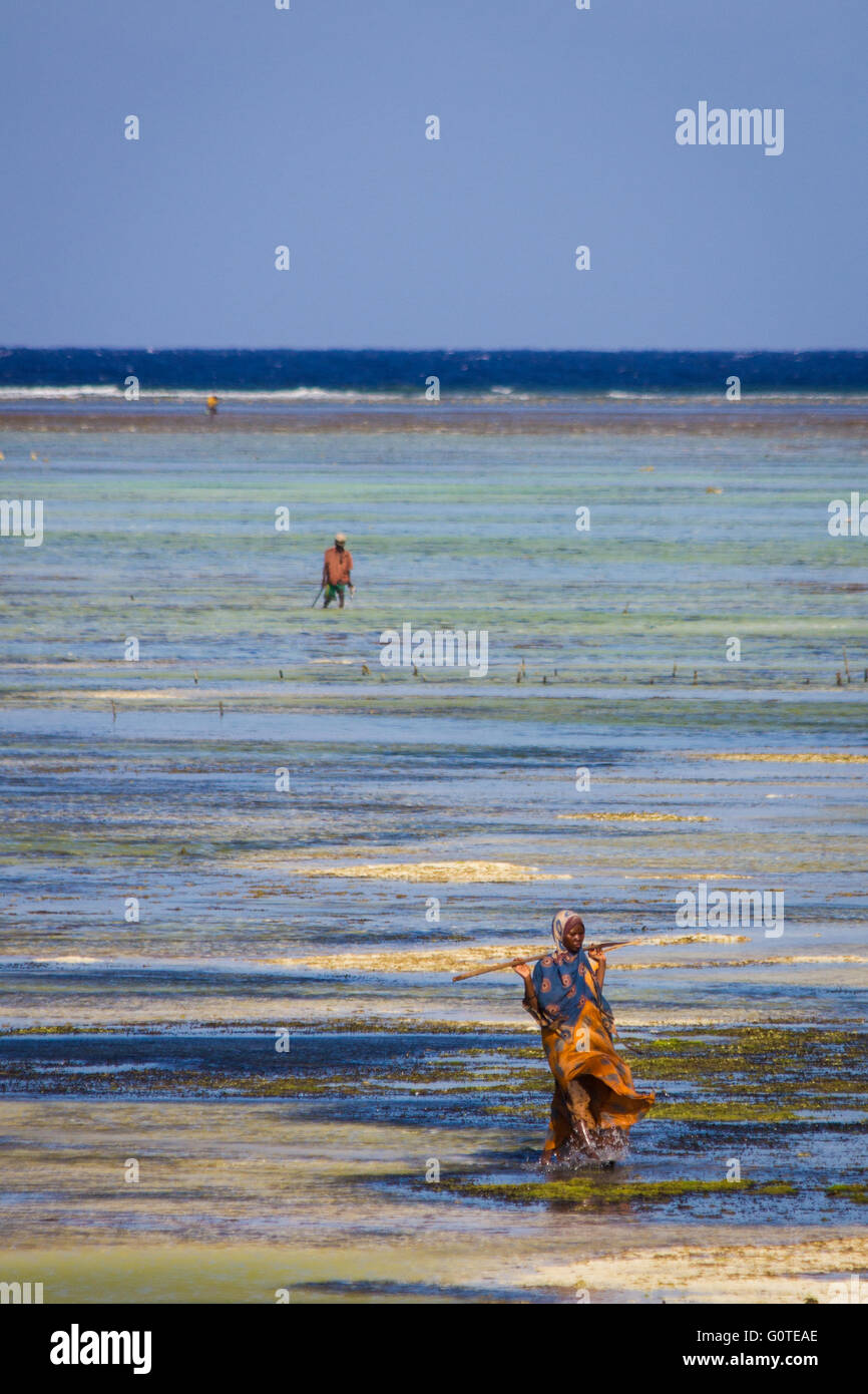 Woman out for evening swim hi-res stock photography and images - Alamy