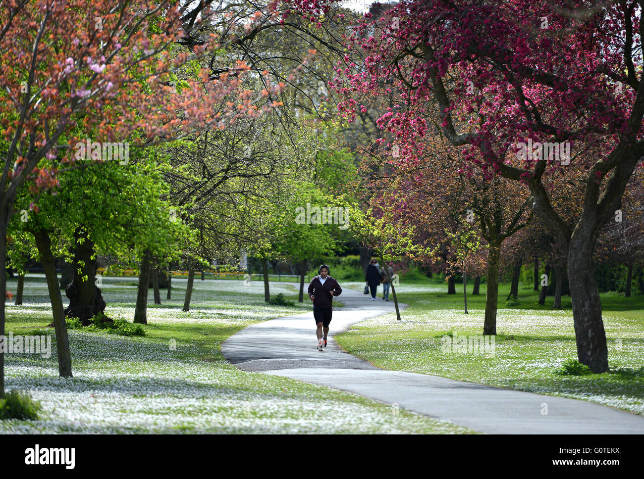 Spring in Regents Park , London Stock Photo - Alamy