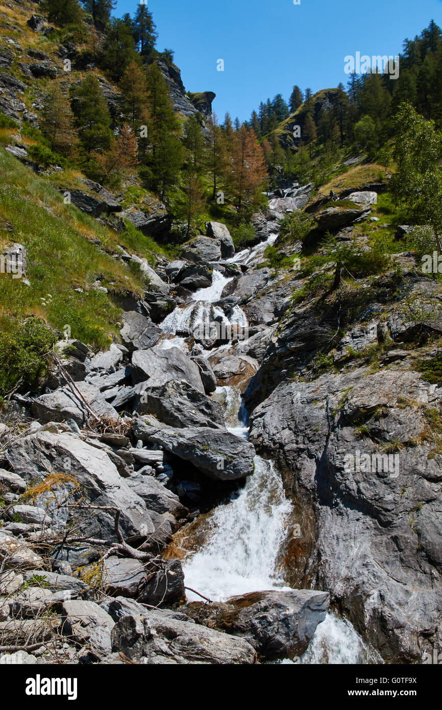High mountain stream flowing between the rocks in Italian Alps Stock ...