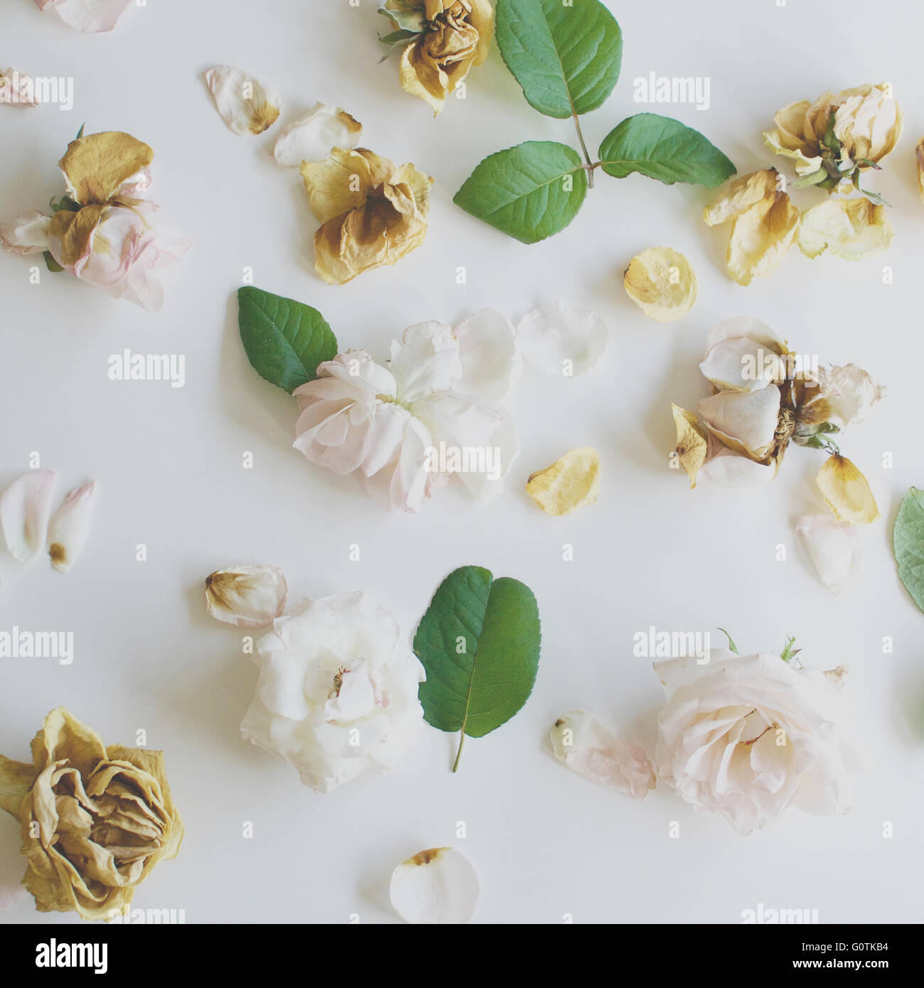 Scattered rose petals and leaves Stock Photo - Alamy