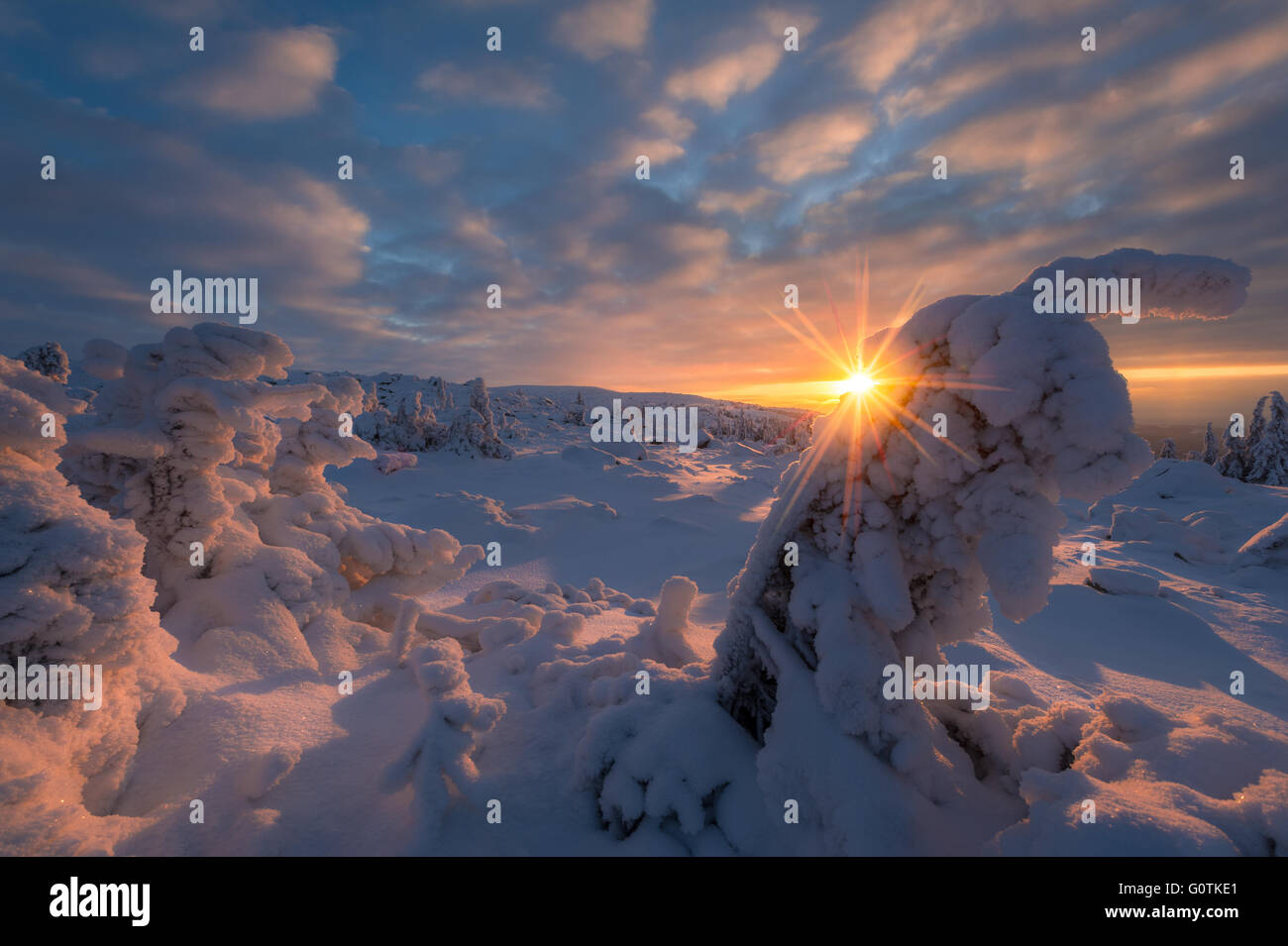 Norway snow landscape hi-res stock photography and images - Alamy
