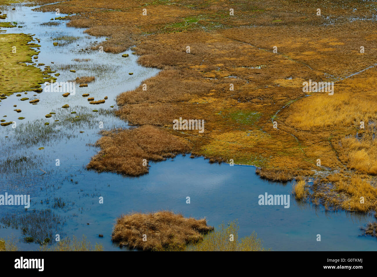 Lagoon landscape of bird aerial view Stock Photo - Alamy