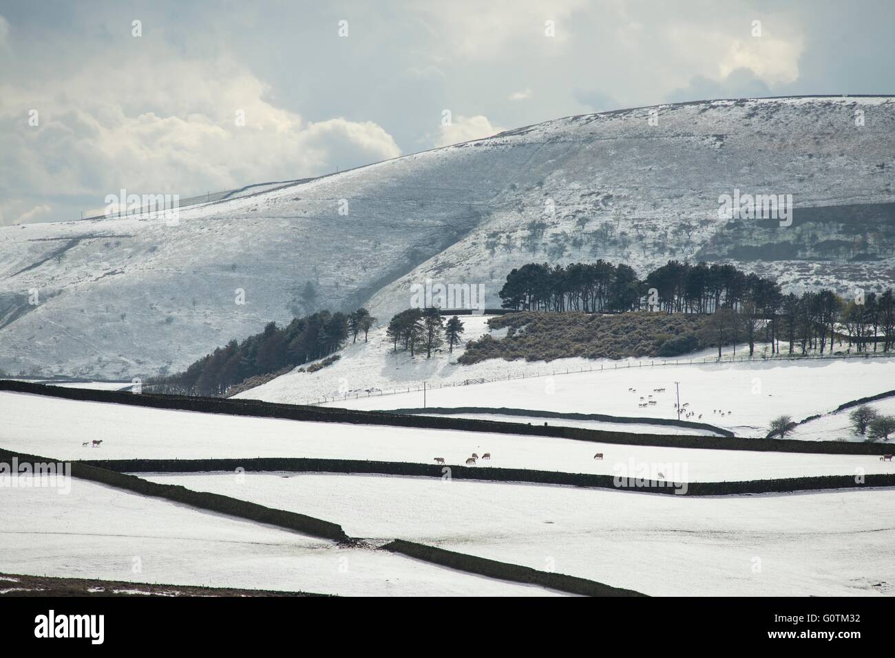 Late April snow at Glossop in the High Peak, Derbyshire, UK Stock Photo ...
