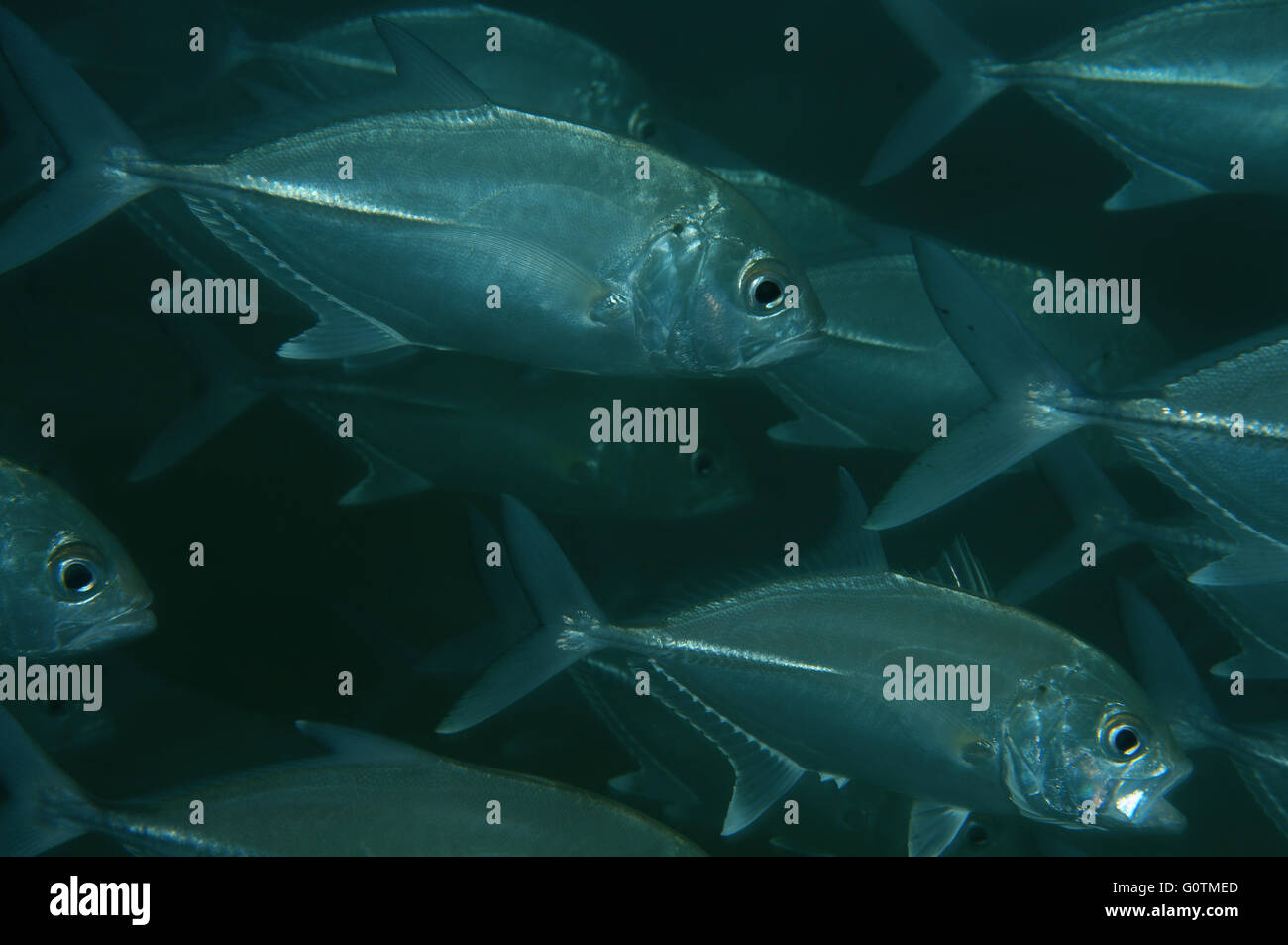 Storojet hi-res stock photography and images - Alamy