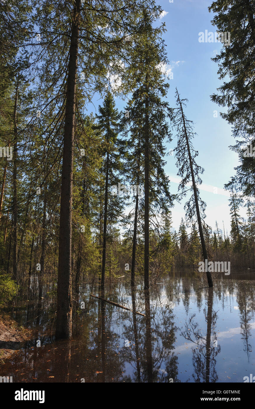 Quiet flood hi-res stock photography and images - Alamy