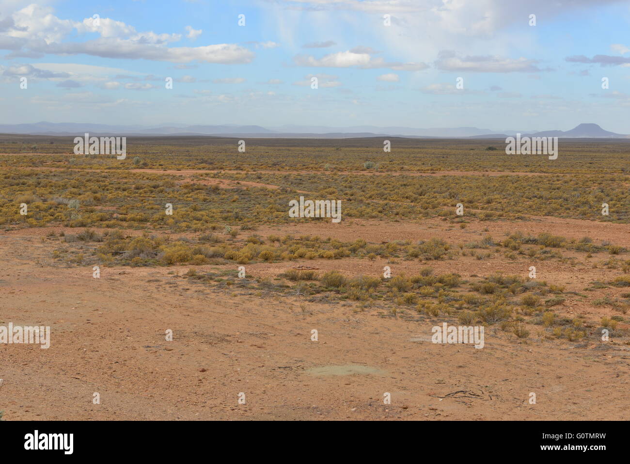 Game Park in South Africa Stock Photo - Alamy