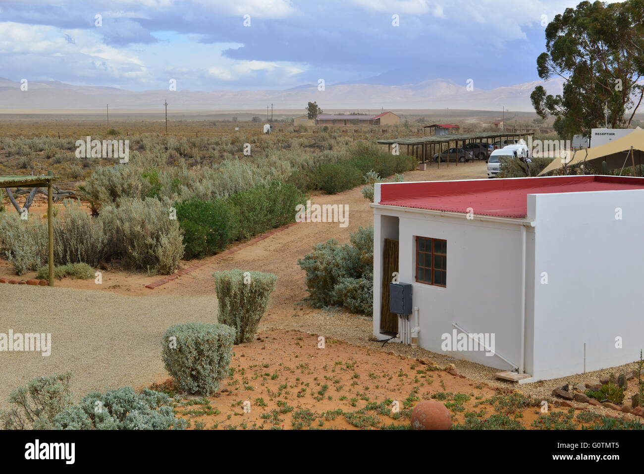 Game Park in South Africa Stock Photo - Alamy