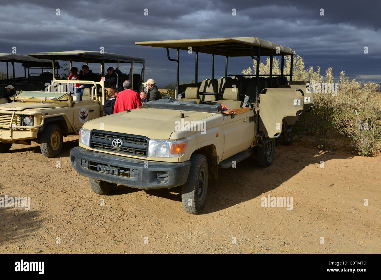 Game Park in South Africa Stock Photo - Alamy