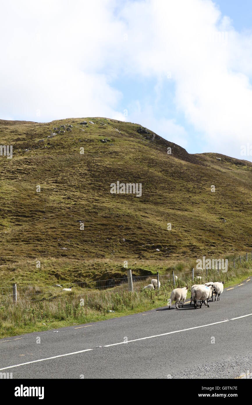 Irish island country hi-res stock photography and images - Alamy